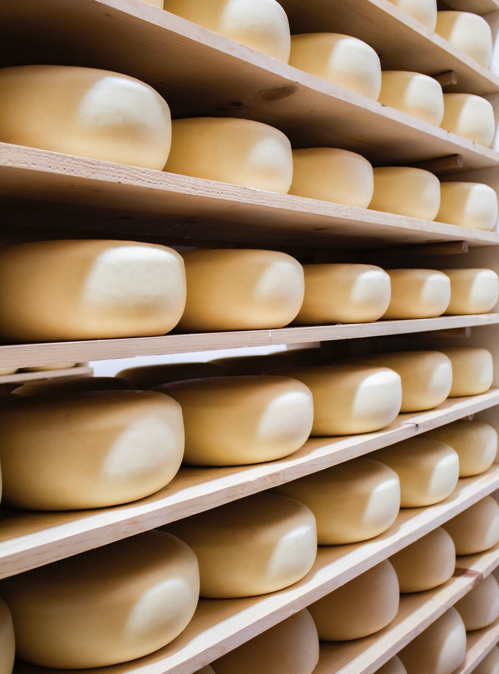 Central Coast Creamery